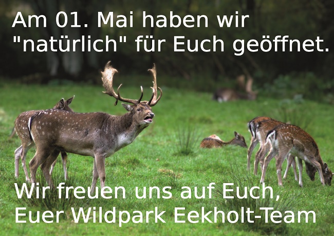 Naturerlebnisstätte Wildpark Eekholt - Startseite