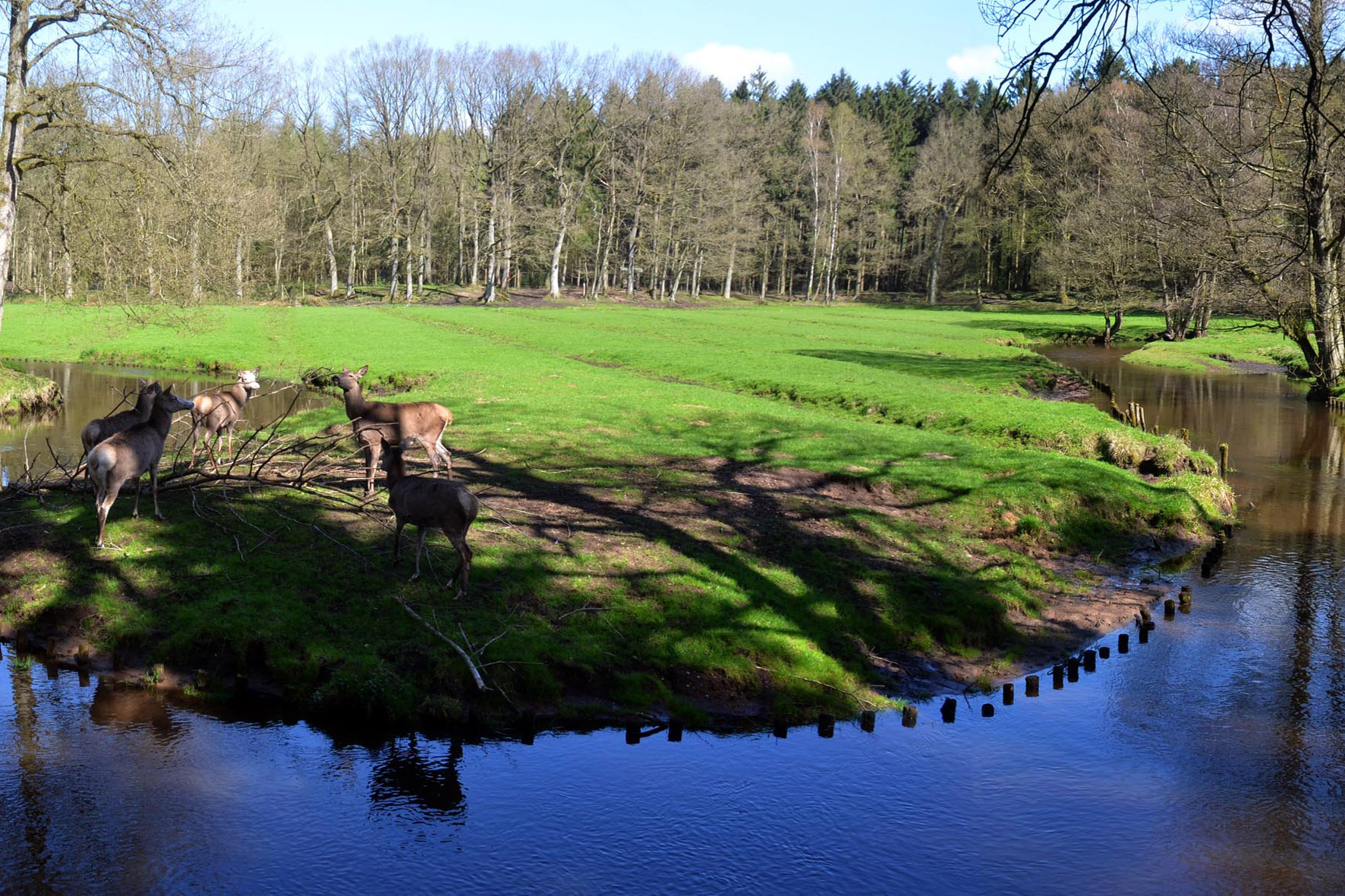 Naturerlebnisstätte Wildpark Eekholt - Über unseren Wildpark